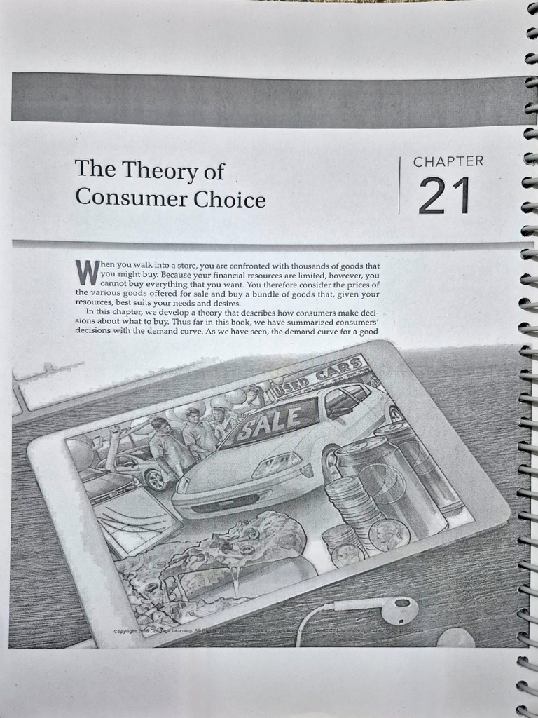 The Theory of Consumer Choice | PDF