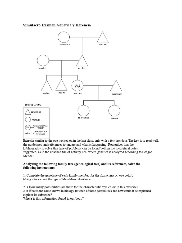Mock Exam Genetics and Heredity | PDF