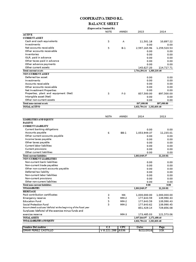 Trino R.L. Cooperative Financial Statements | PDF | Balance Sheet | Taxes
