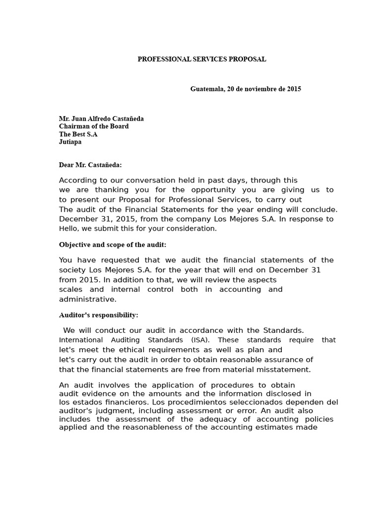 Proposal For Professional Services | PDF | Internal Control | Audit