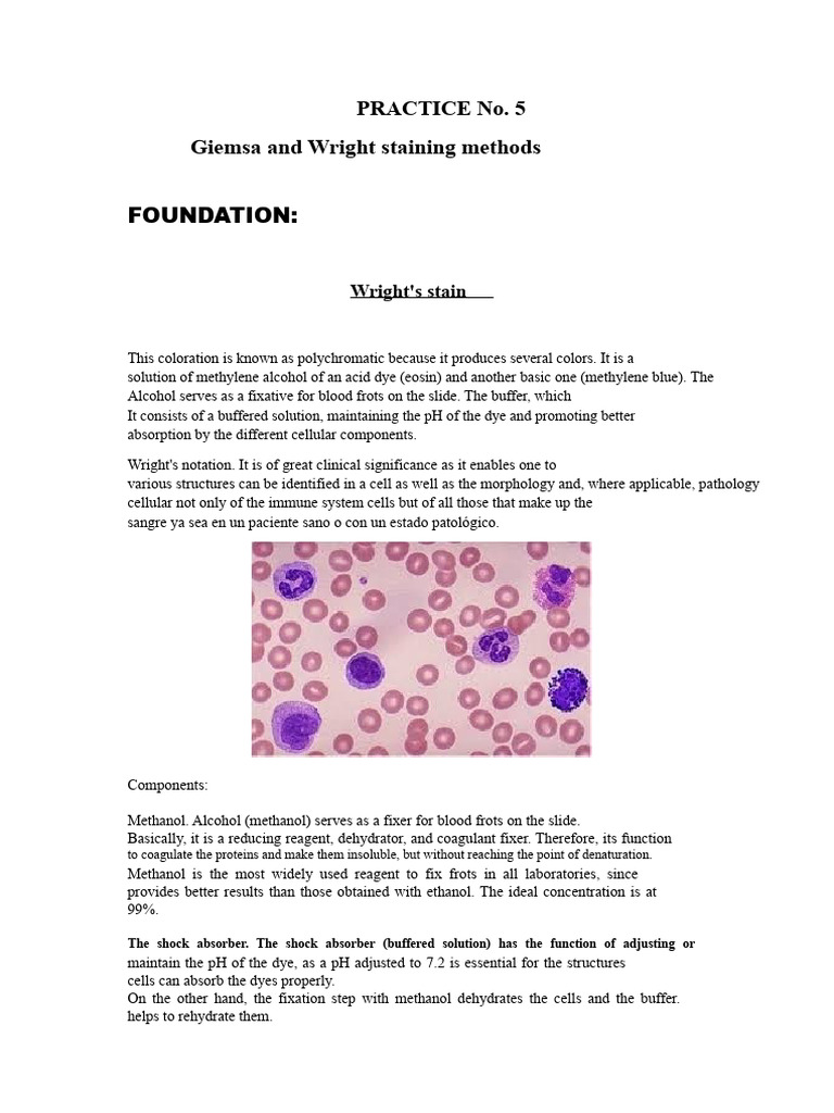 Giemsa and Wright Staining Techniques | PDF | Staining | Histology