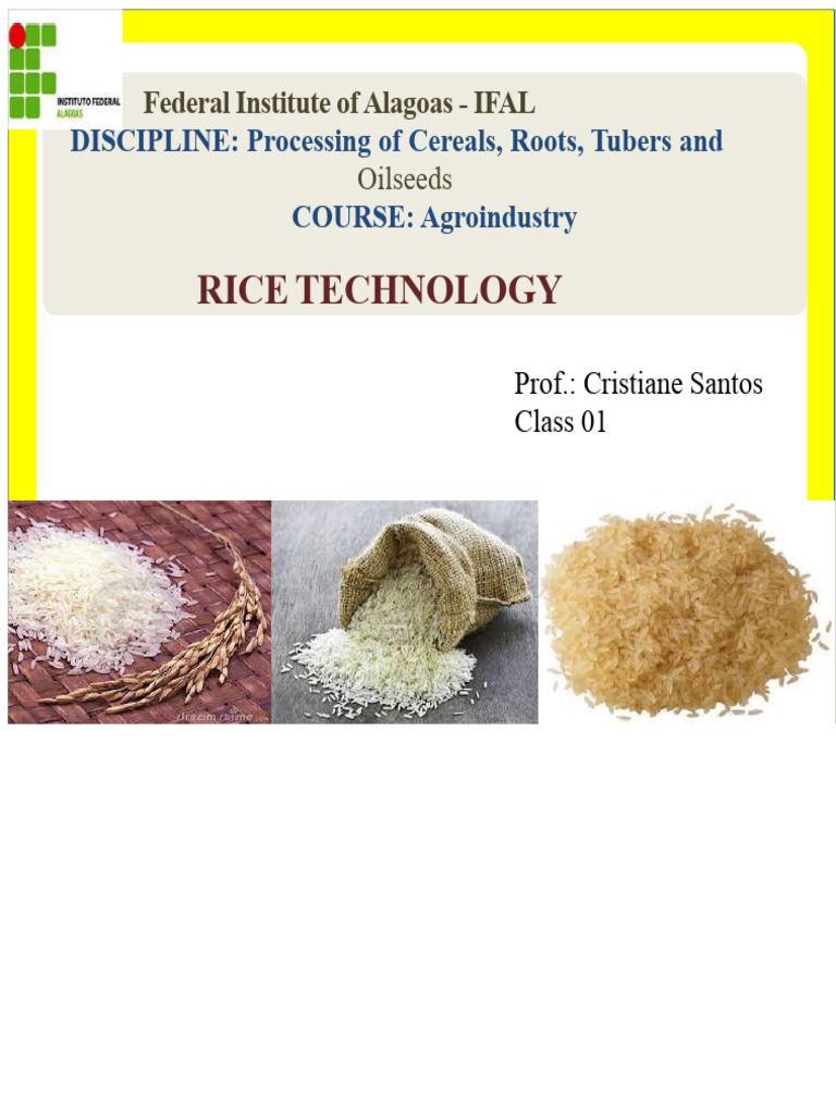Rice Processing Techniques Overview | PDF | Rice | Cereals