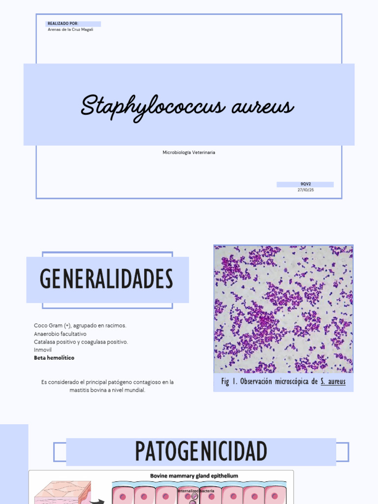 Mastitis bovina por Staphylococcus aureus | PDF | Especialidades ...