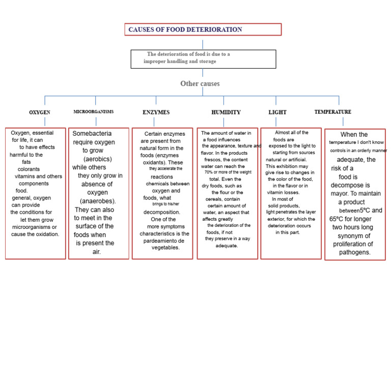Conceptual Map | PDF | Decomposition | Foods