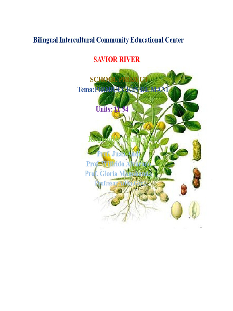 Peanut Production | PDF | Peanuts | Agriculture