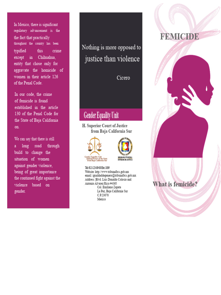 Triptych Femicide | PDF | Violence | Human Rights