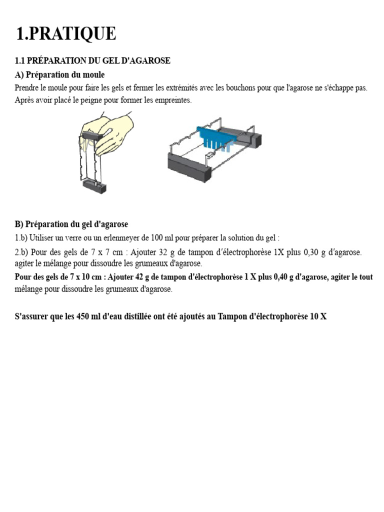 Préparation et Électrophorèse d'Agarose | PDF | Électrophorèse ...