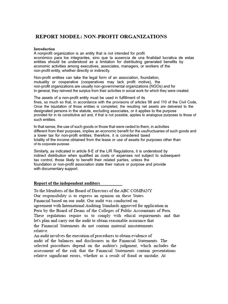 Report Model 1 | PDF | Audit | Expense