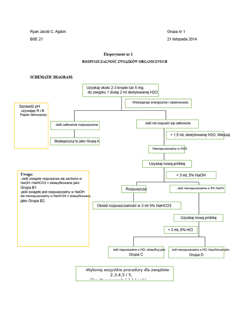 Ekspert 1 (Schemat Blokowy) | PDF