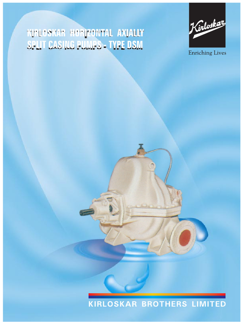 DSM PDF | PDF