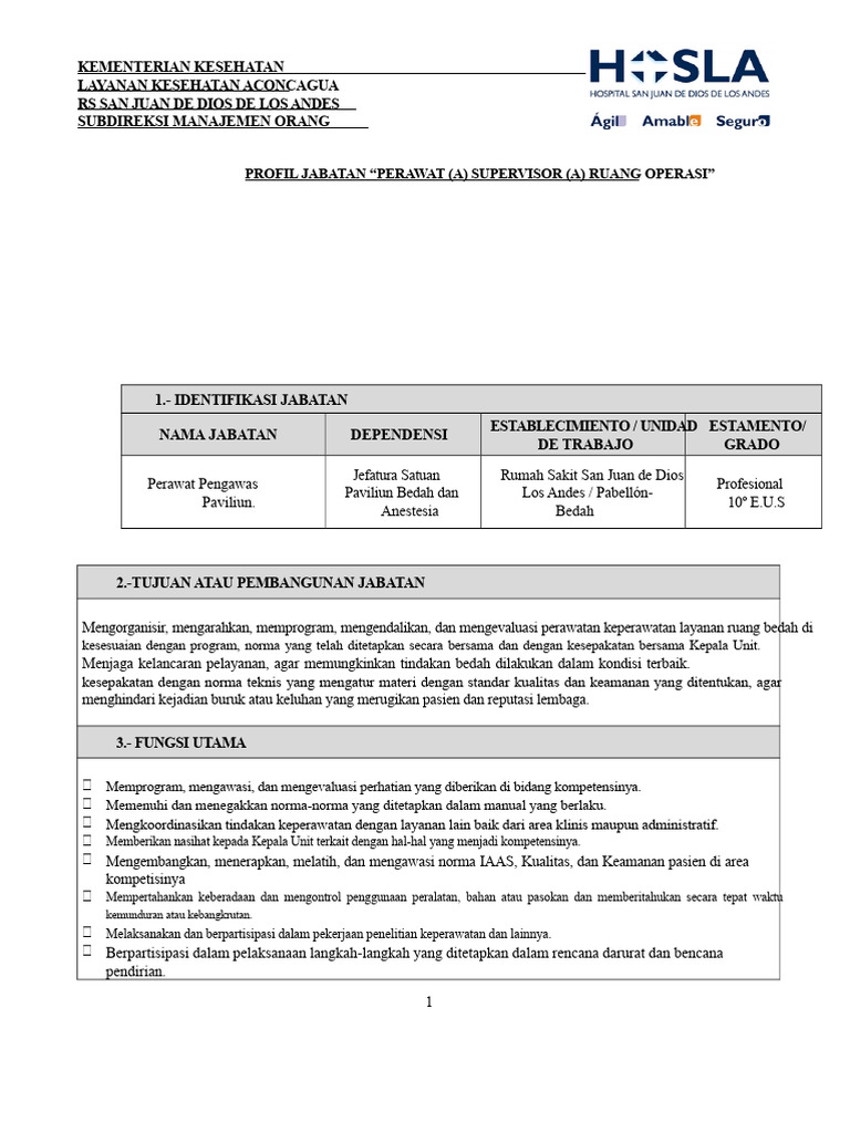Profil Pekerjaan Perawat Pengawas Ruang Operasi.docx | PDF