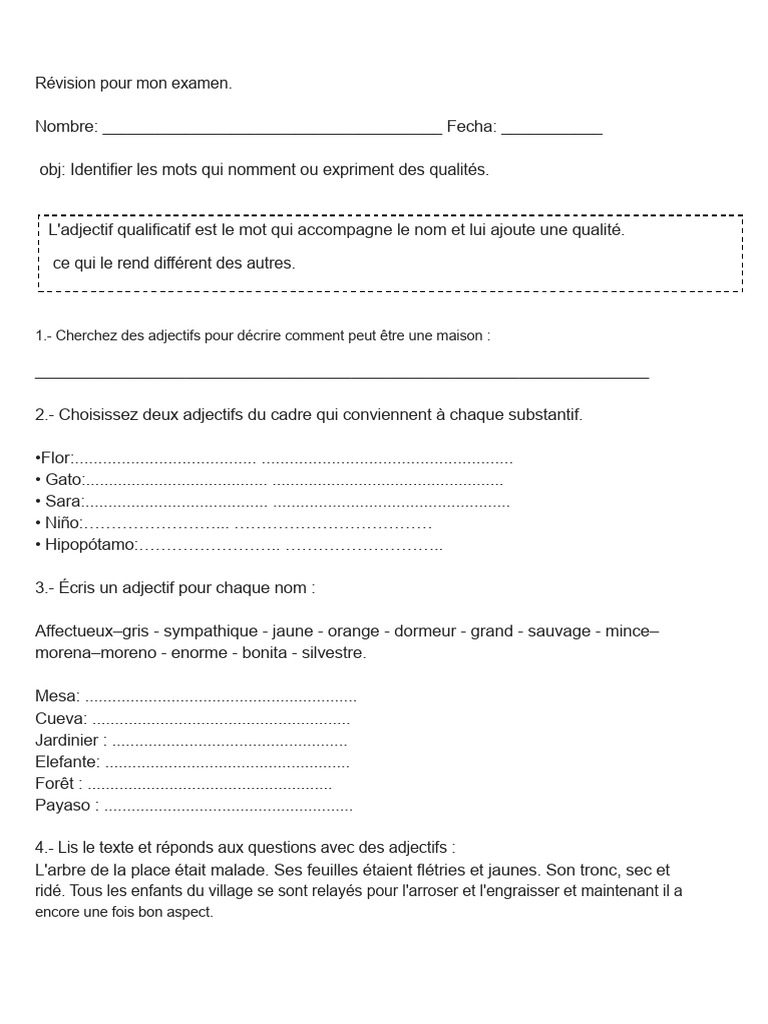 Adjectifs : Guide de révision pour examen | PDF