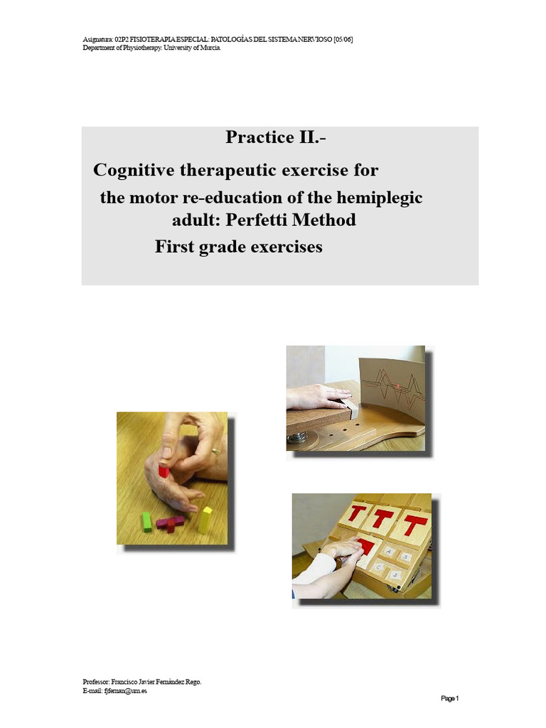 Cognitive Therapeutic Exercise For The Motor Re-Education of The Adult ...