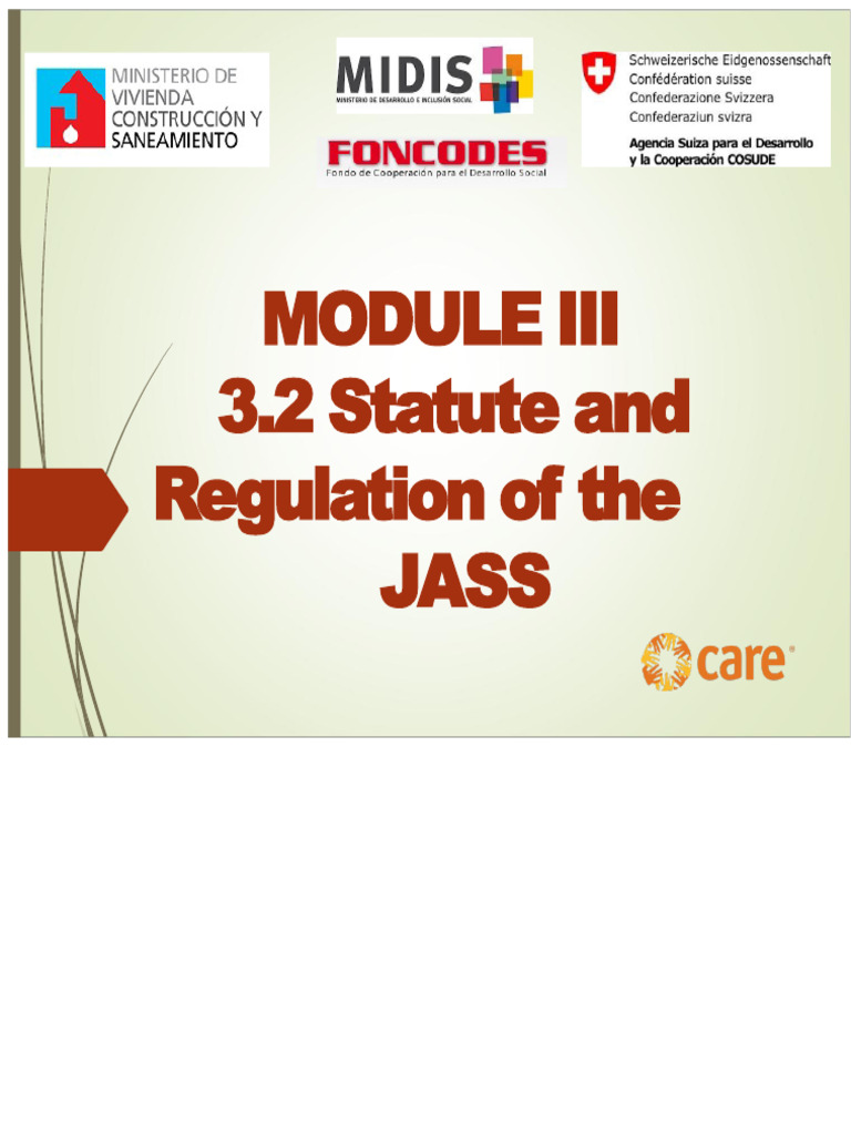 III.2 Statute and Regulations Jass | PDF | Board Of Directors | Justice