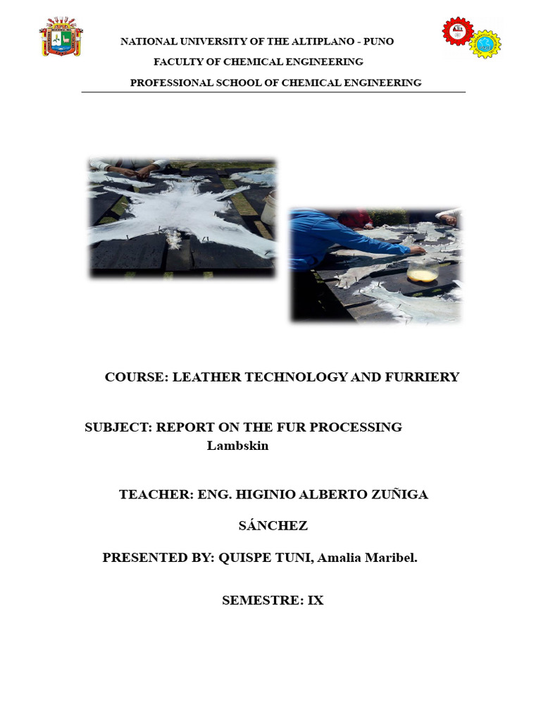 Report On The Fur Processing. | PDF | Leather | Chemistry