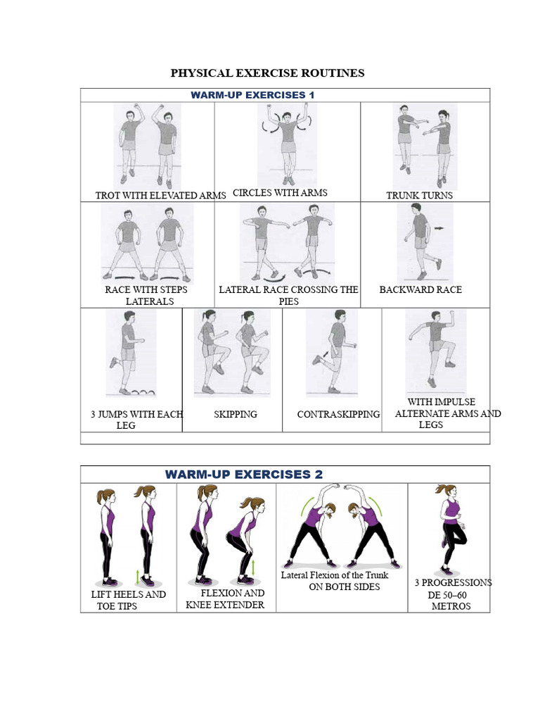 Physical Exercise Routines | PDF | Strength Training | Aerobic Exercise
