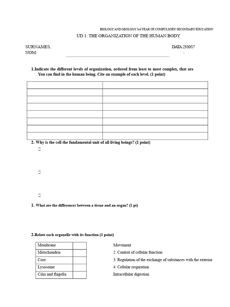 EXAM U1. The Organization of The Human Body | PDF