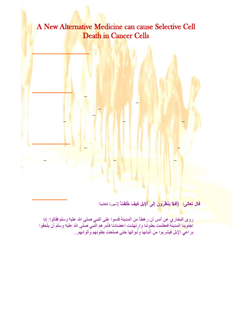 Camel Urine as Cancer Treatment Agent | PDF | Cancer | In Vitro