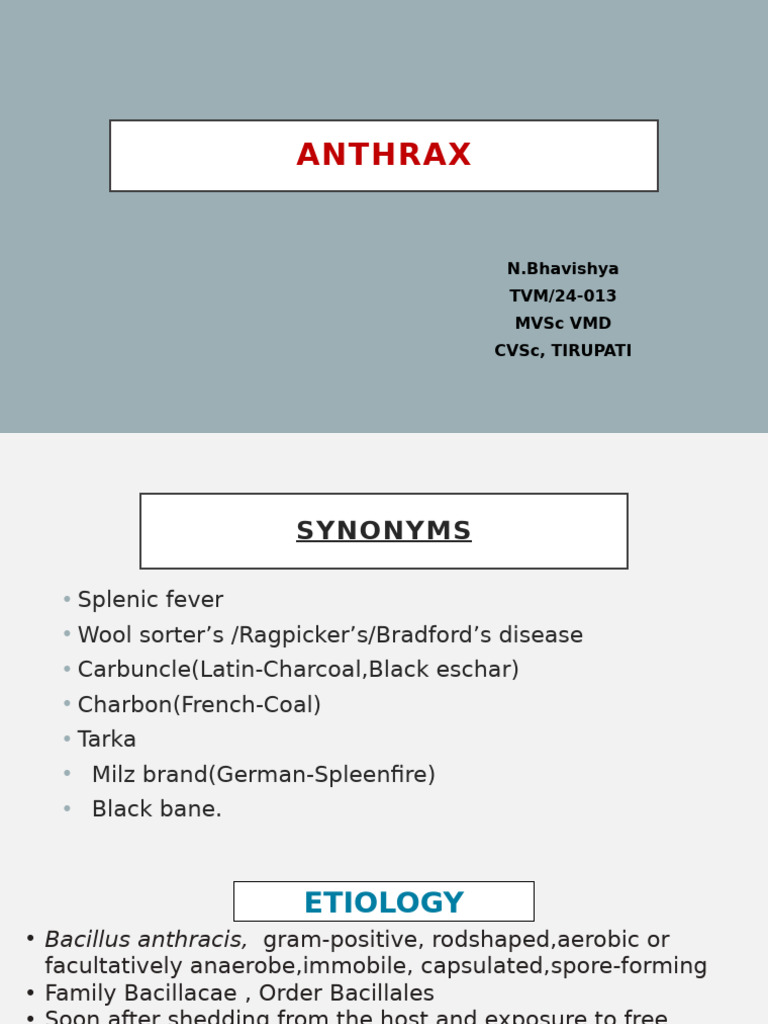Understanding Anthrax: Causes and Risks | PDF | Anthrax | Bacillus