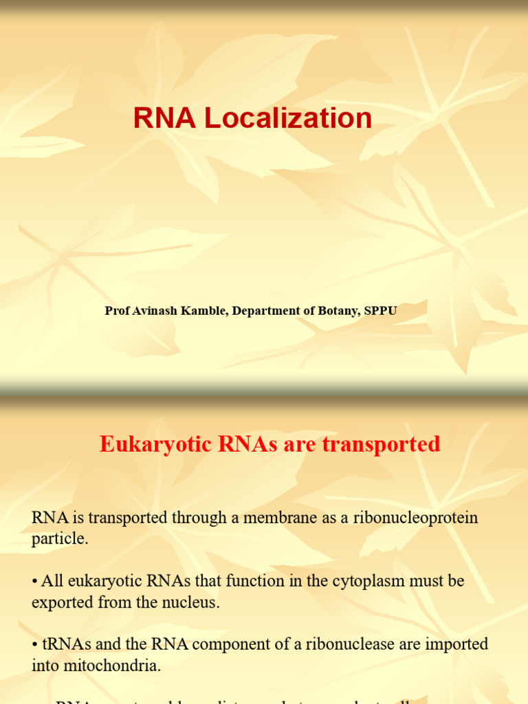 RNA localization | PDF