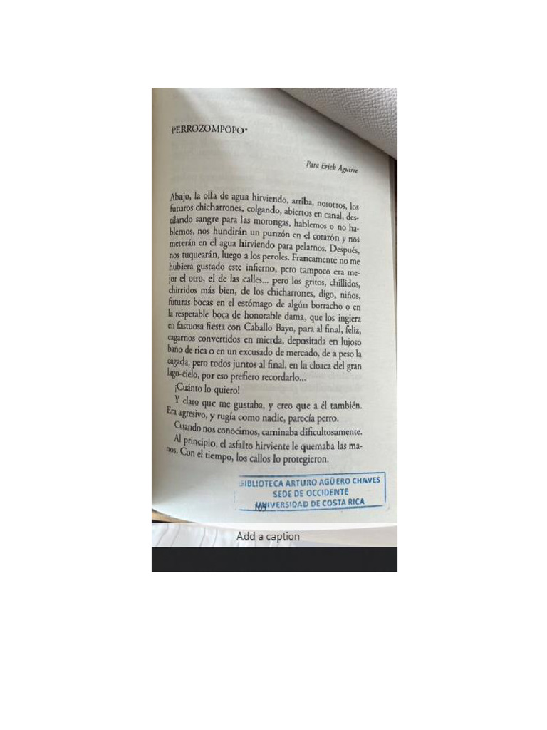 Perrozompopo, Franz Galich | PDF
