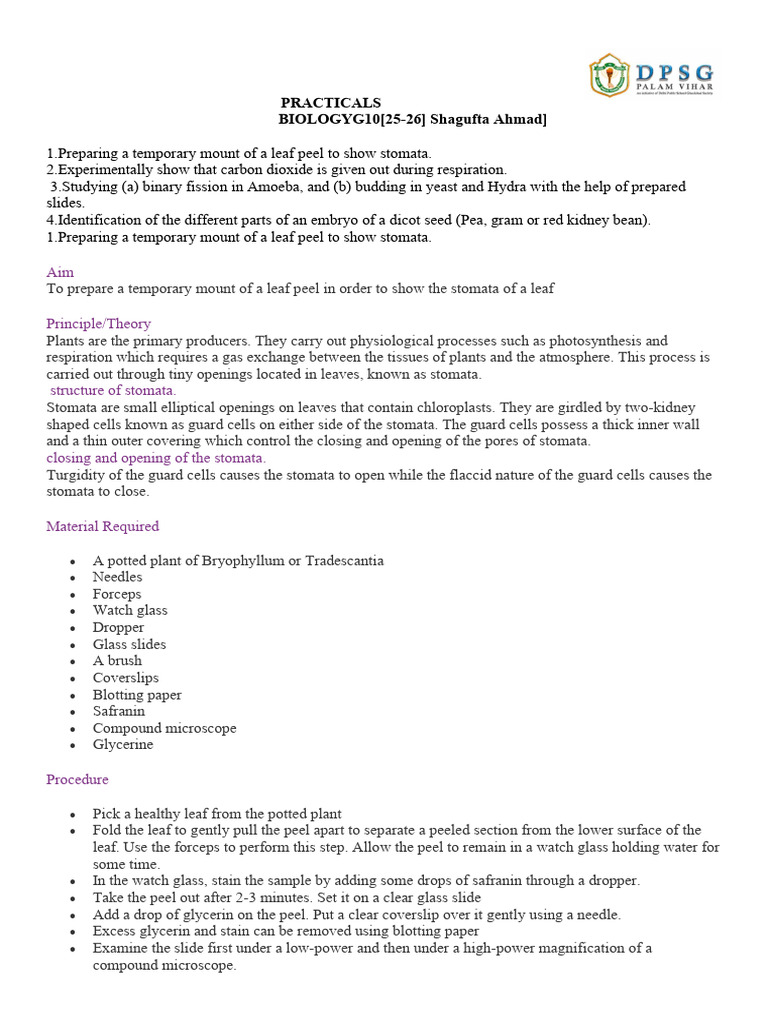 Grade 10 Practical 25-26 PV | PDF | Seed | Seedling