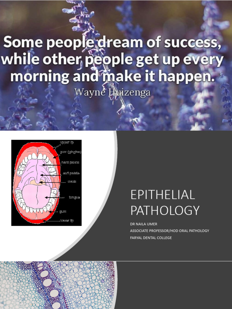 Epithelial Pathology Intro | PDF