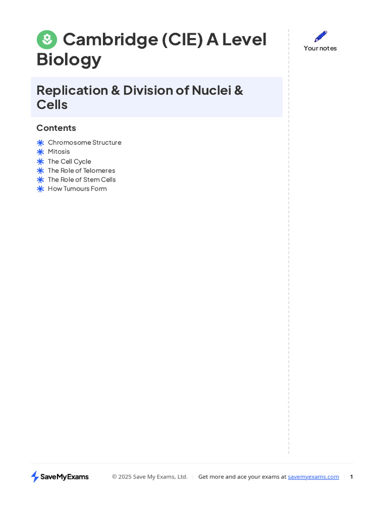 Rep and Div of Nuclei N Cells | PDF | Mitosis | Cell Cycle