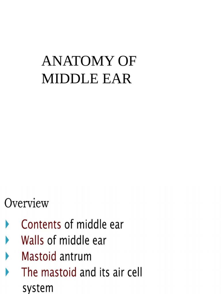 Anatomy of Middle Ear | PDF