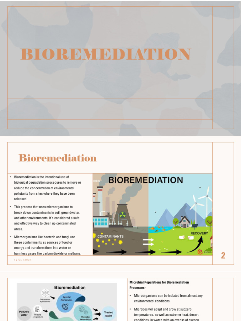 Bioremediation | PDF | Environmental Remediation | Soil