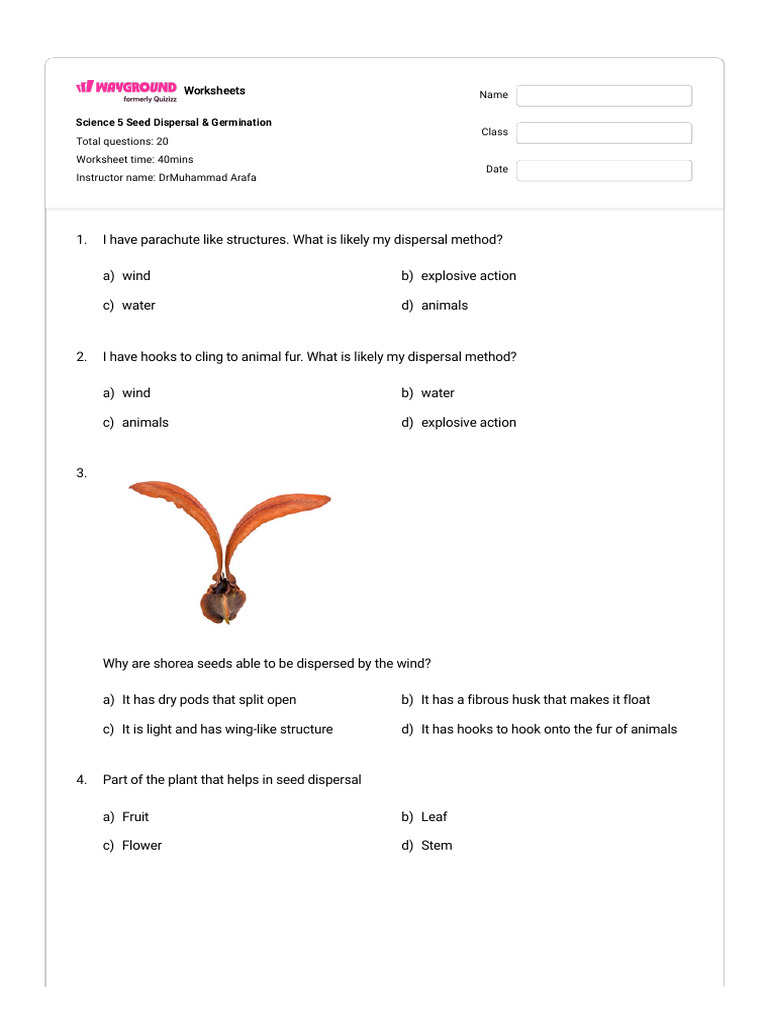Science 5 Seed Dispersal & Germination - Wayground | PDF | Seed | Botany