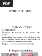 Syndrome de la Jonction Pyelo-Uréterale | PDF | Rein | Spécialités ...