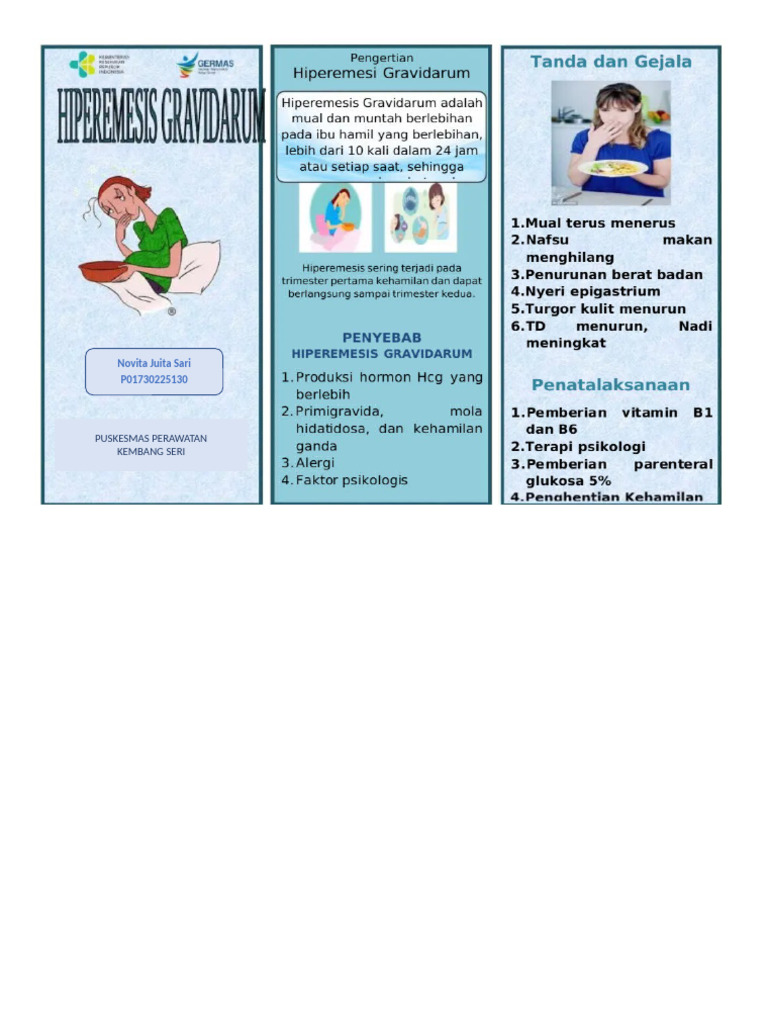 Leaflet Hiperemis | PDF
