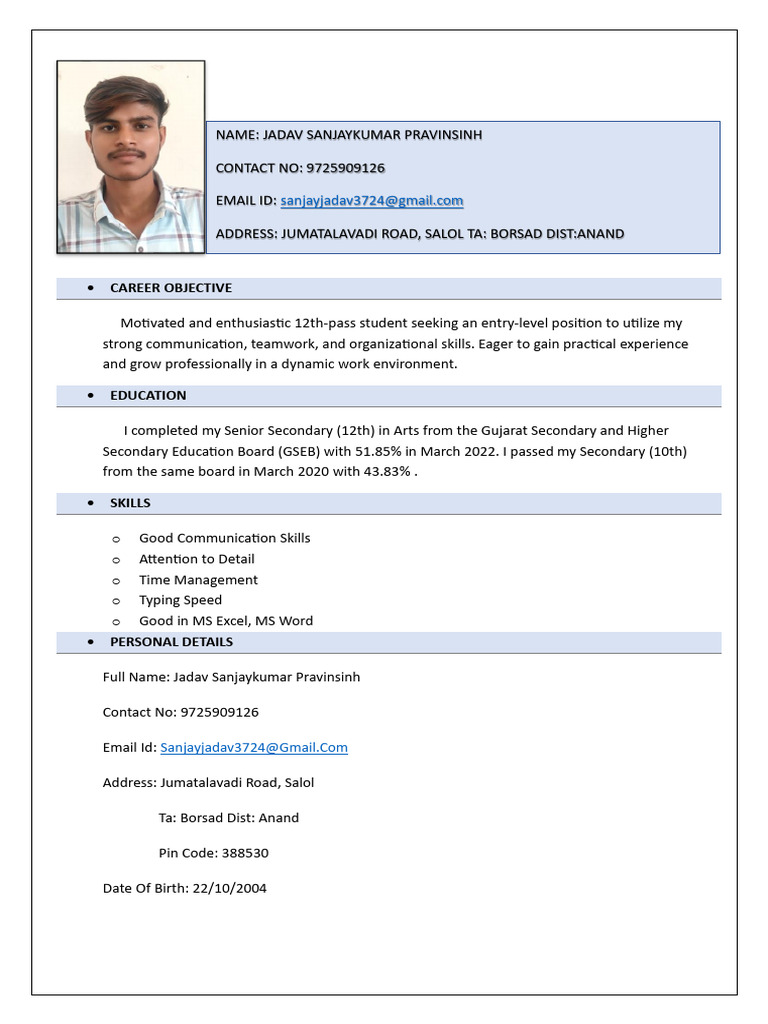 Sanjay Resume | PDF