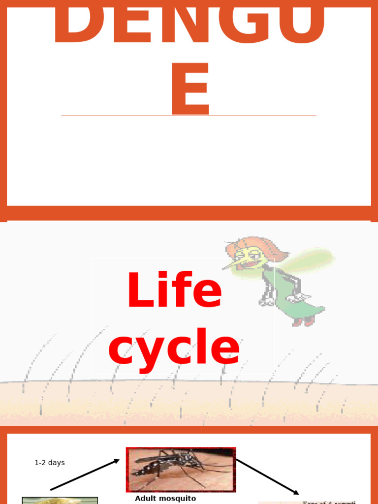 Dengue Presentation | PDF