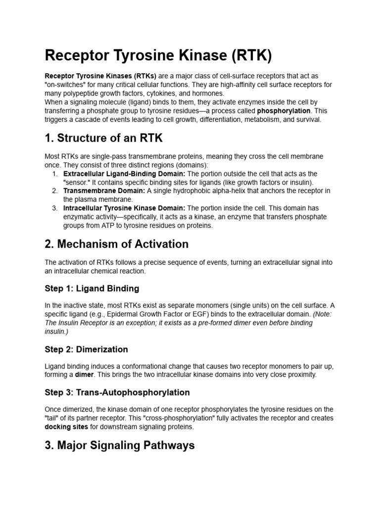 Receptor Tyrosine Kinase (RTK) : 1. Structure of An RTK | PDF ...