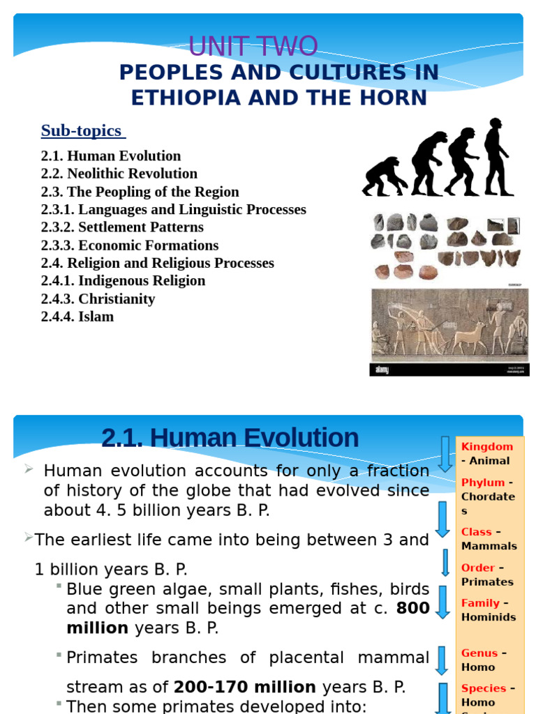 Unit 2 Hist 1012 PP | PDF | Homo | Lucy (Australopithecus)