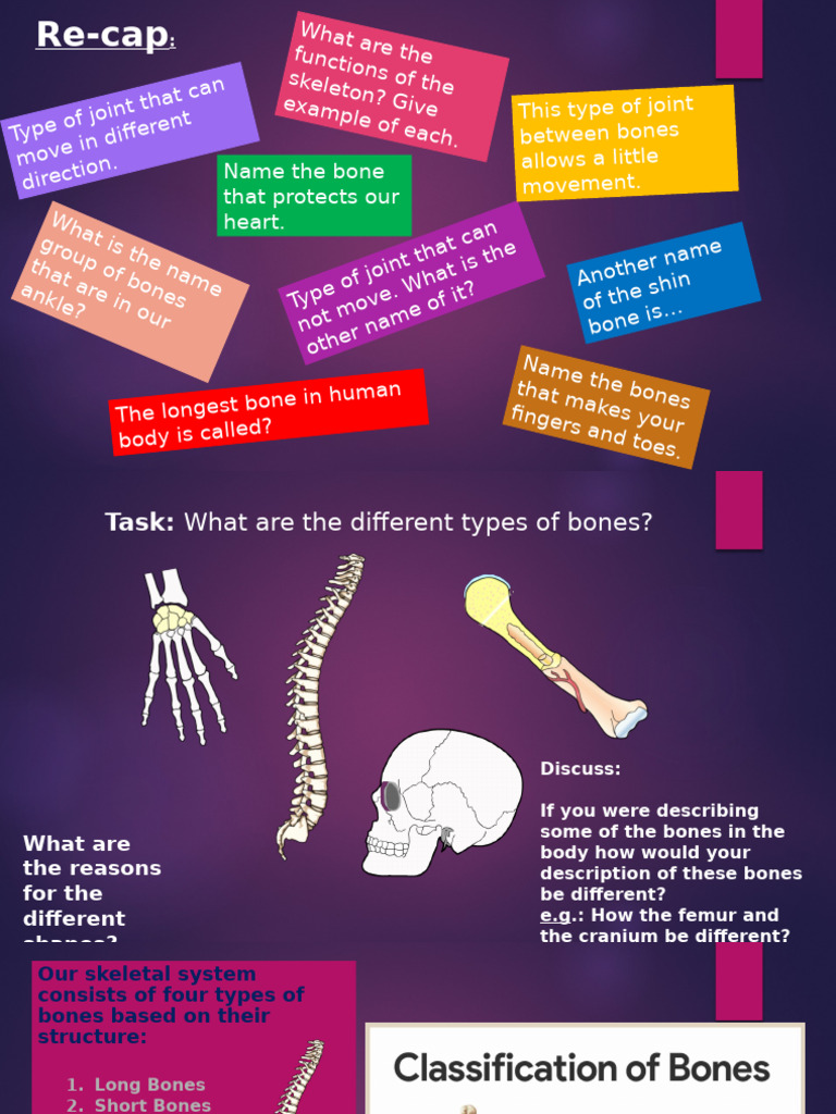 PE - Classification of Bones | PDF | Bone | Musculoskeletal System