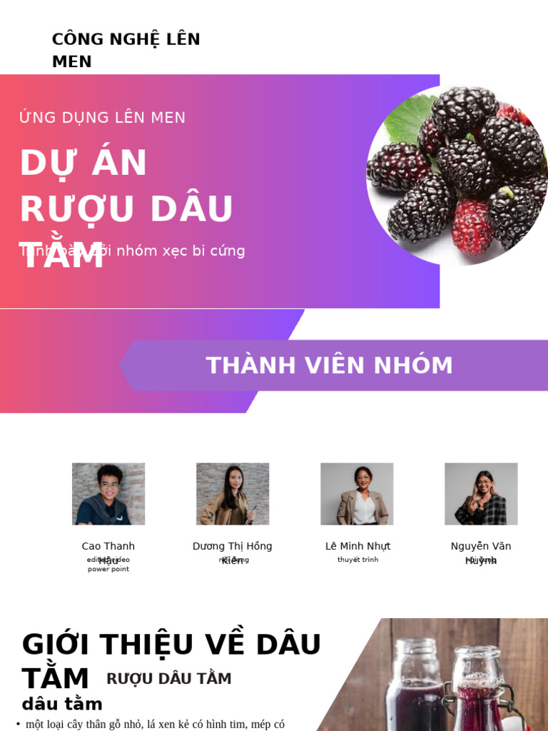 Công Nghệ Lên Men. LÊN MEN DÂU TẦM | PDF