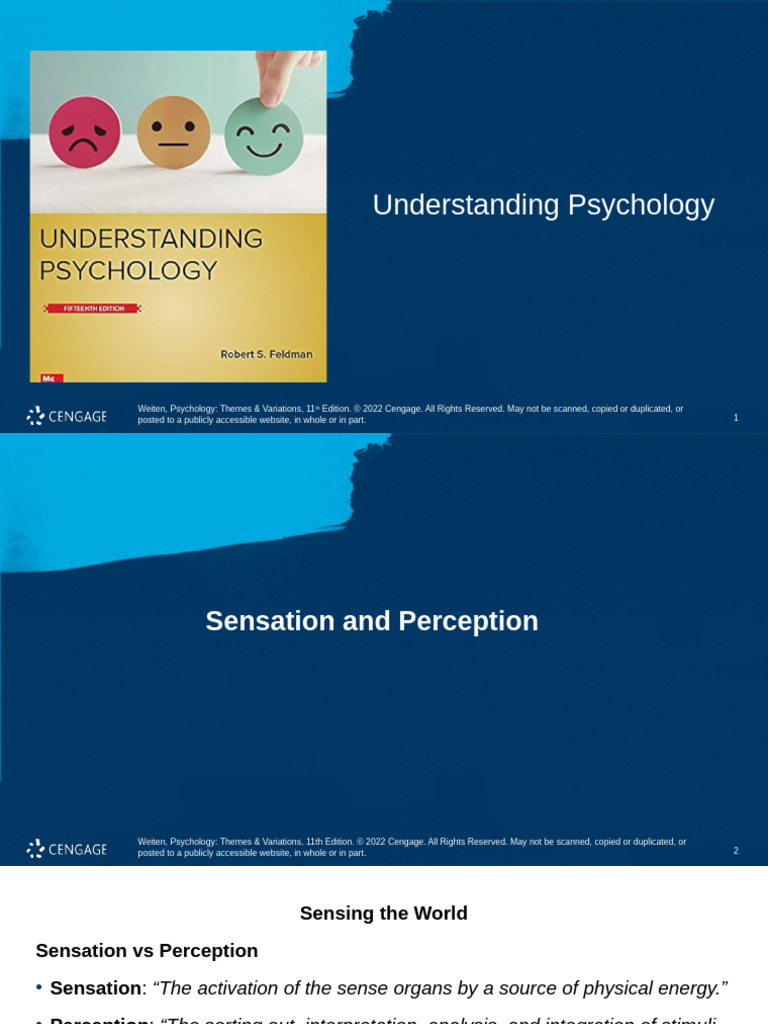 Sensation and Perception in Psychology | PDF | Senses | Perception