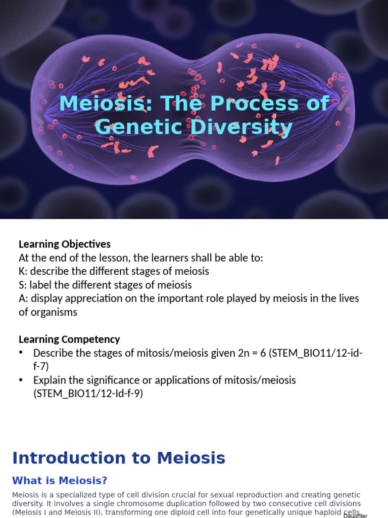 Understanding Meiosis and Genetic Diversity | PDF | Meiosis | Mitosis