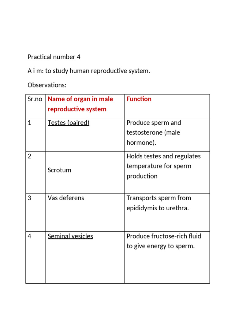 Overview of Human Reproductive Organs | PDF