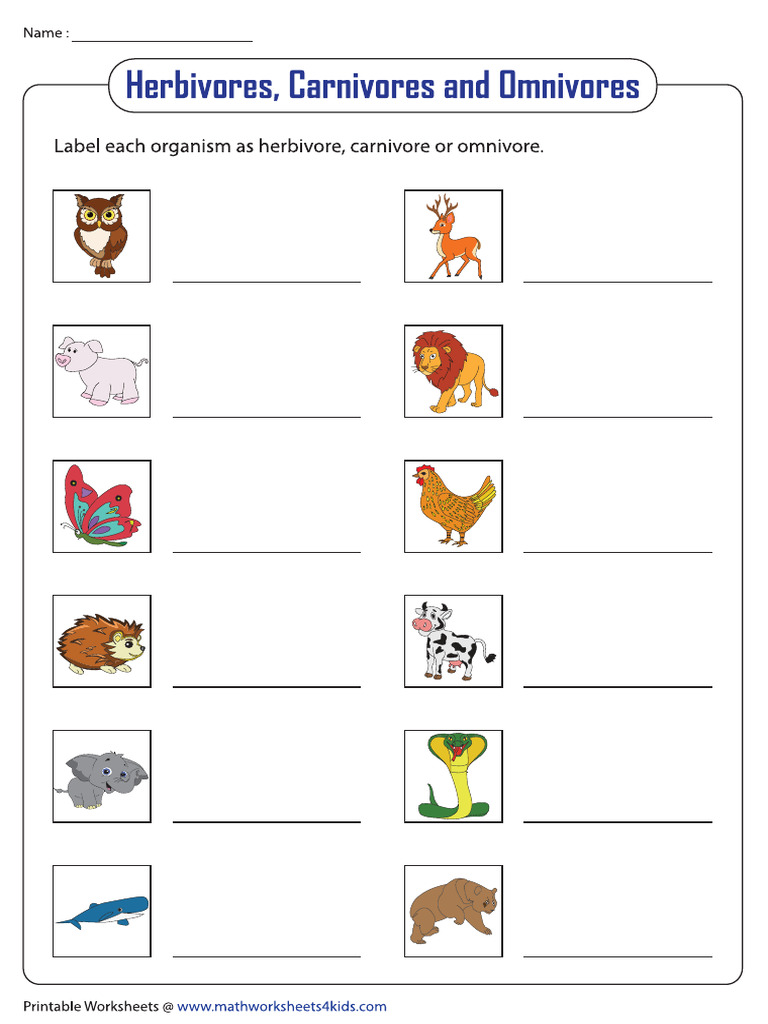 Label Animals | PDF