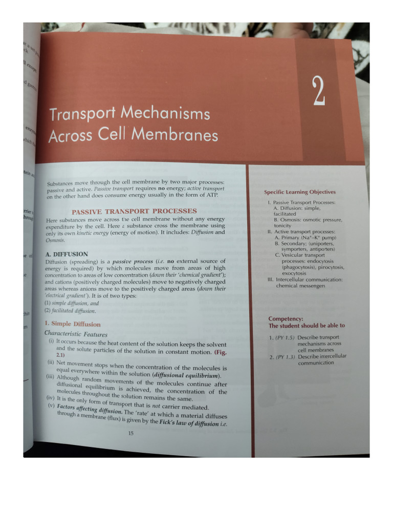 Ak - Jain (Cell Junction) | PDF
