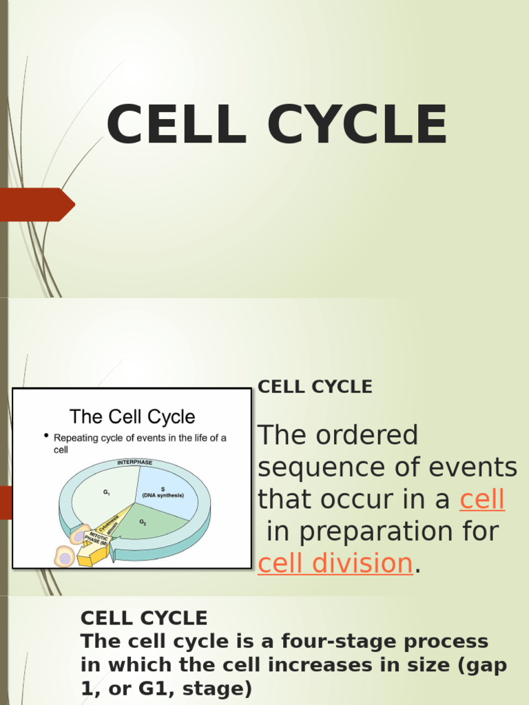 CELL CYCLE PPT 1 | PDF | Cell Cycle | Cell Growth