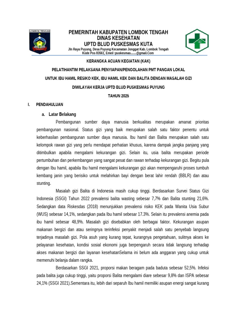KAK PELATIHAN TIM PMT LOKAL FINAL | PDF