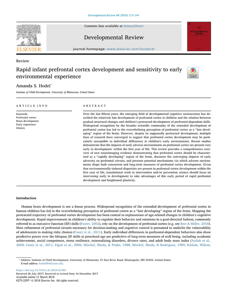 Rapid Infant Prefrontal Cortex Development and Sensitivity To Early ...