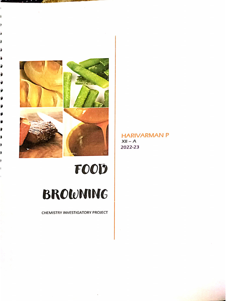 Che Project | PDF
