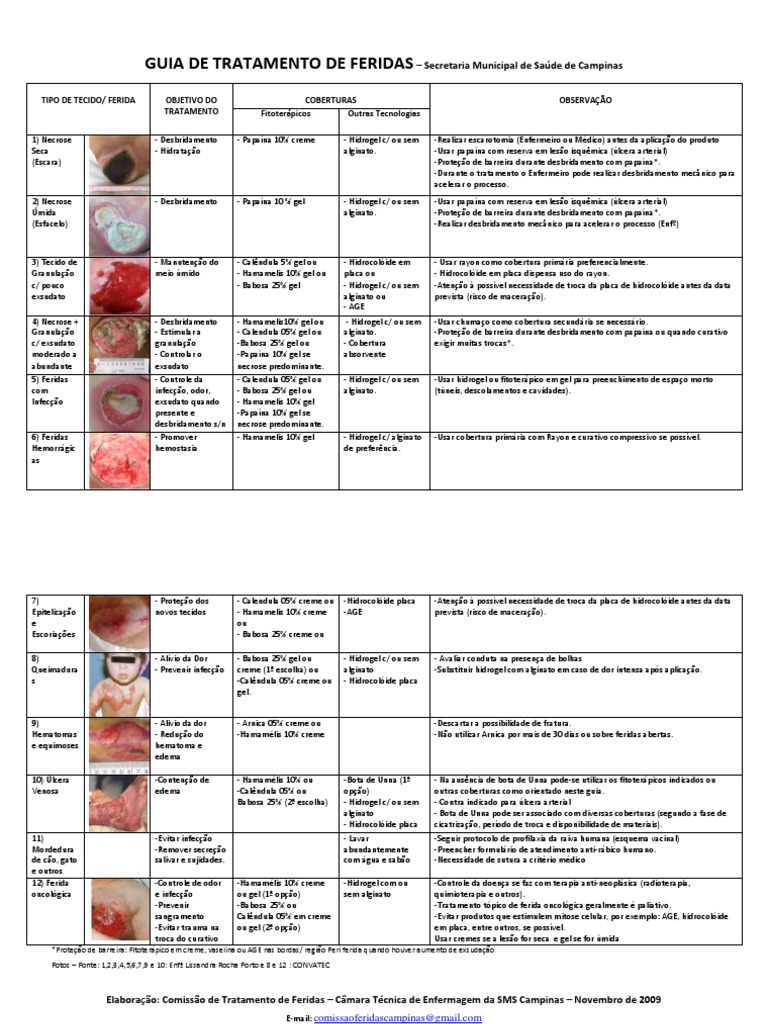 Guia de Tratamento de Feridas Nov 2009 | Necrosis | Medical Specialties