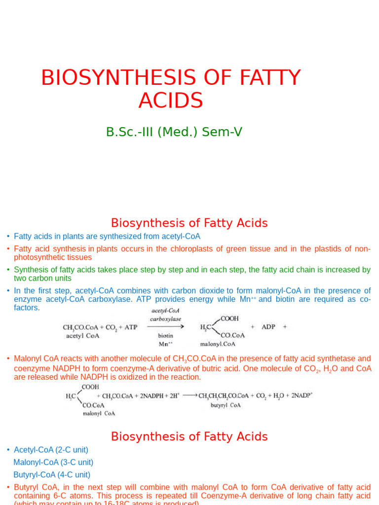 Fatty Acid Biosynthesis in Plants | PDF | Biosynthesis | Organic Chemistry